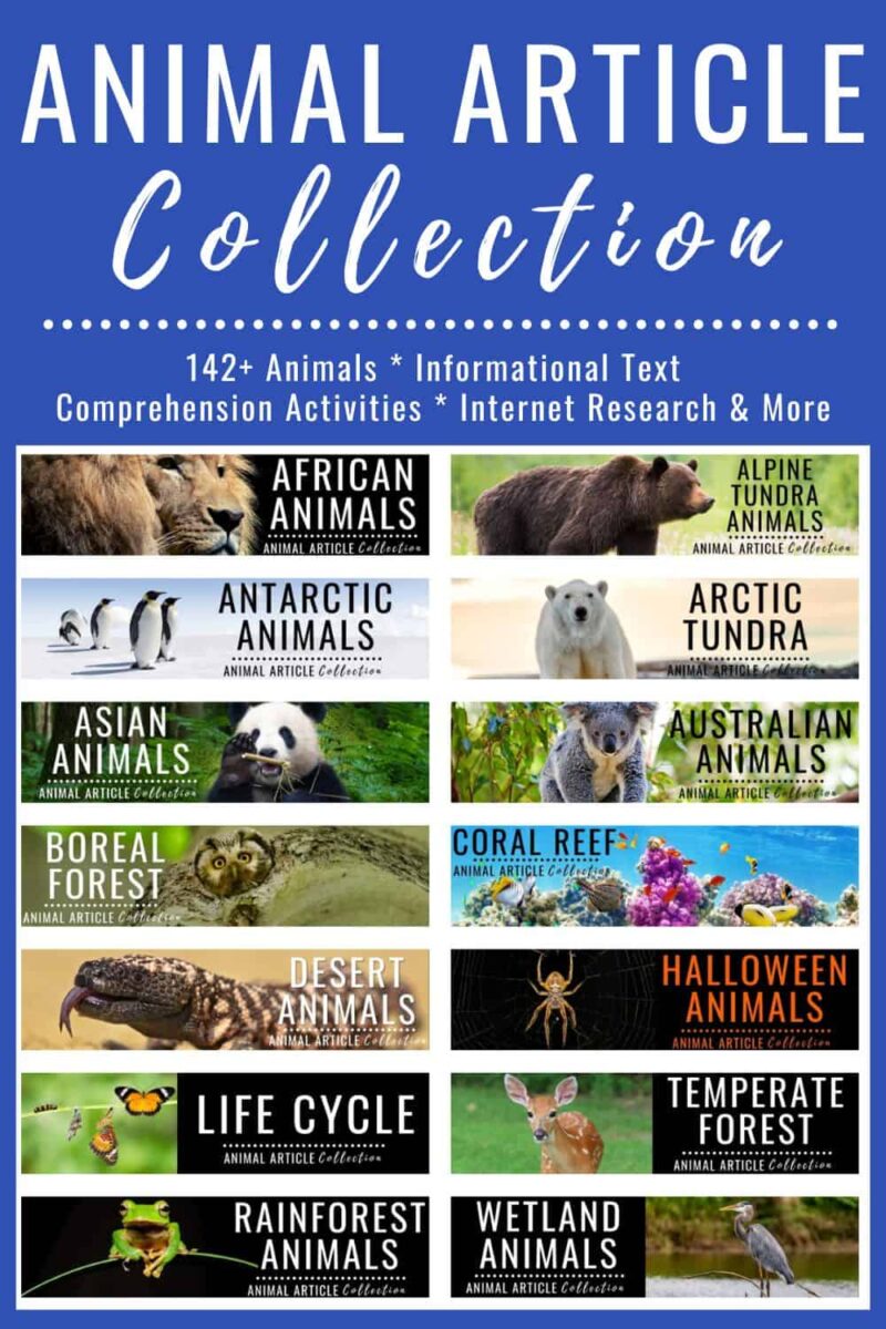 Animals to Research for School Projects Topics for Kids