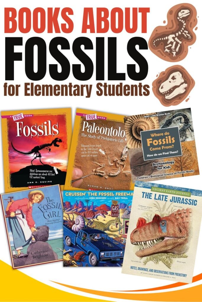 Books About Fossils for Elementary Students