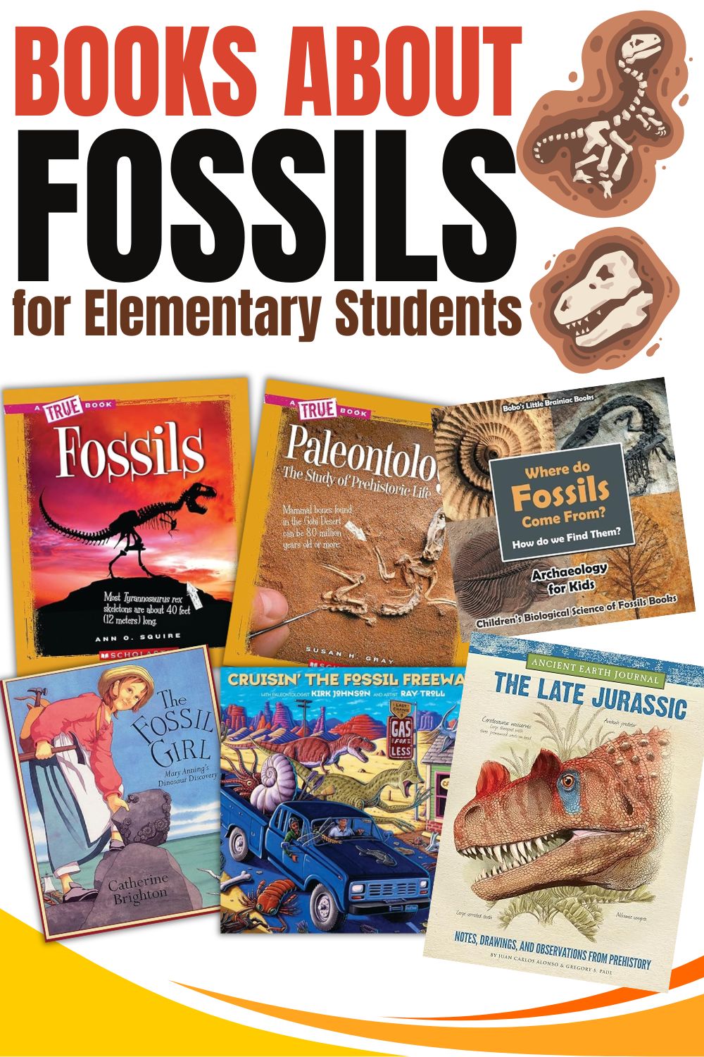 Books About Fossils for Elementary Students