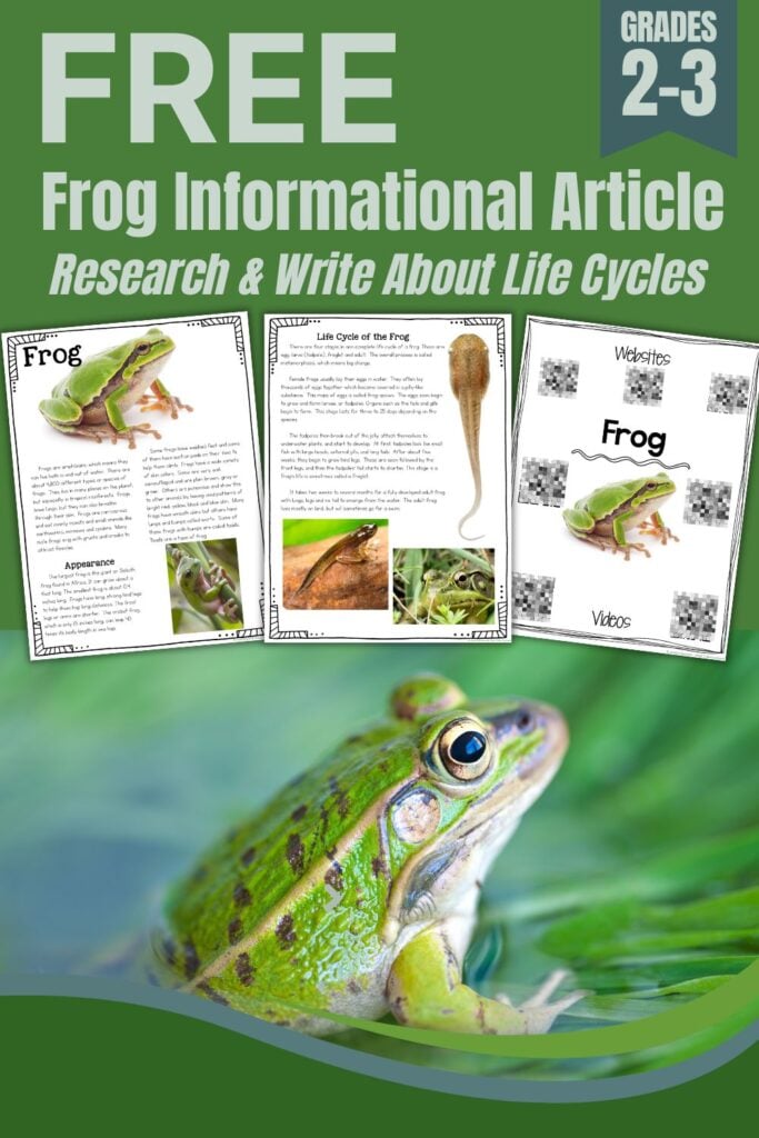 Free Frog Informational Writing Resource - 2nd & 3rd Grade