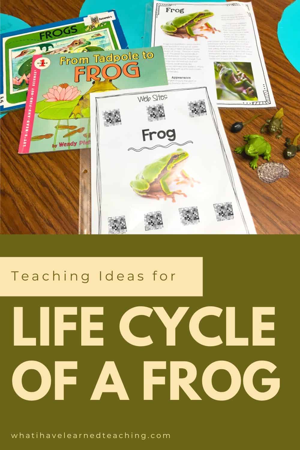 Life Cycle of a Frog for Kids + Free Reading Passage