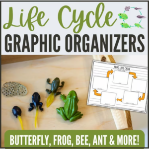Life Cycles & Metamorphosis: Articles & Graphic Organizers