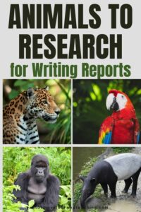 Animals to Research for School Projects Topics for Kids