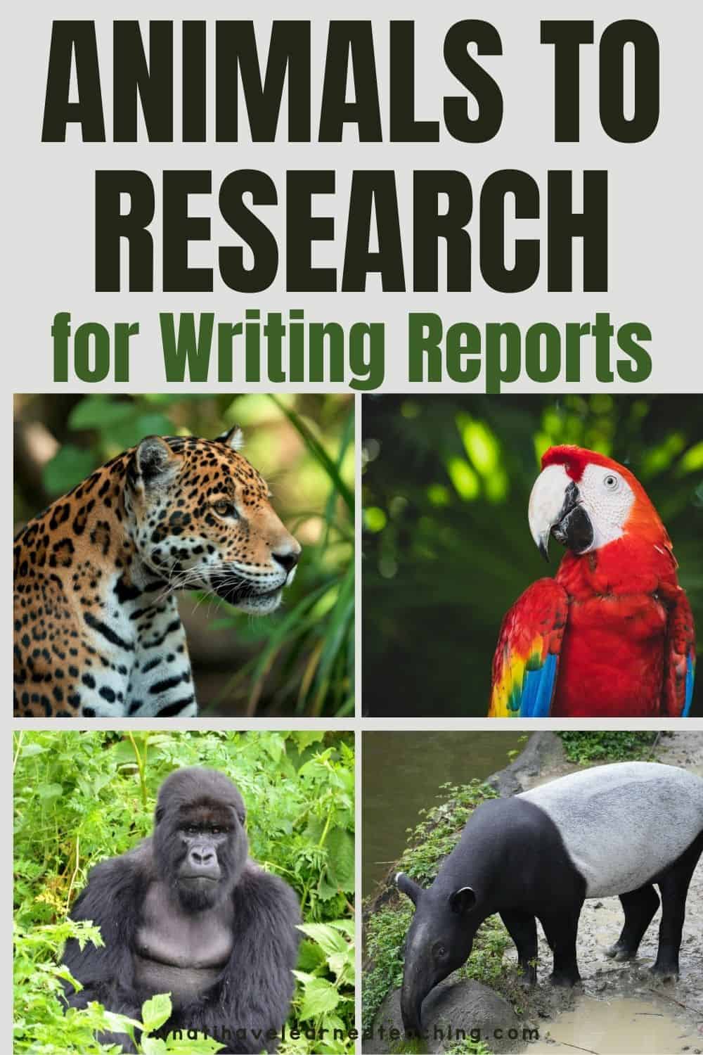 Animals to Research for School Projects Topics for Kids