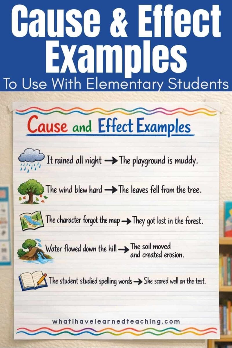 Cause and Effect Examples for Elementary Students