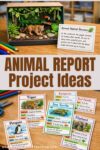 Animal Research Project Ideas for Elementary Students