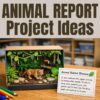 Animals to Research for School Projects Topics for Kids