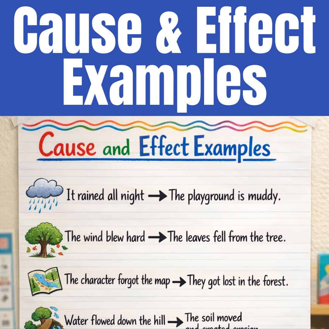 Cause and Effect Examples for Elementary Students