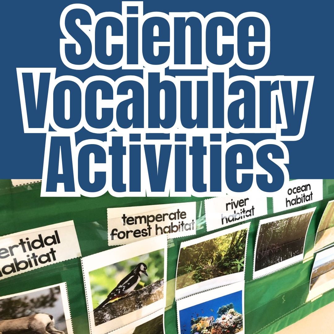 Science Vocabulary Activities for Elementary Students