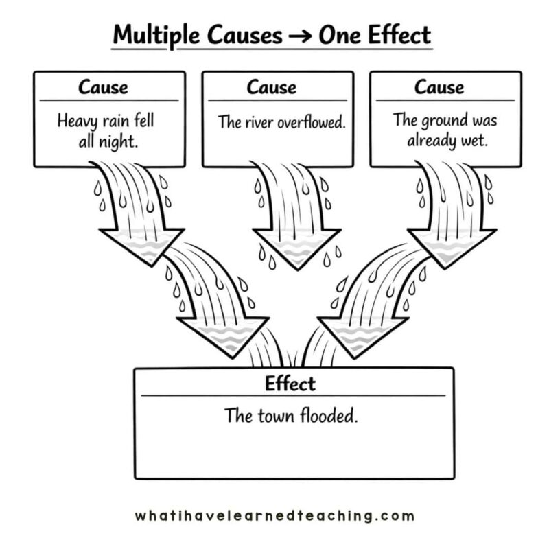 Cause and Effect Examples for Elementary Students