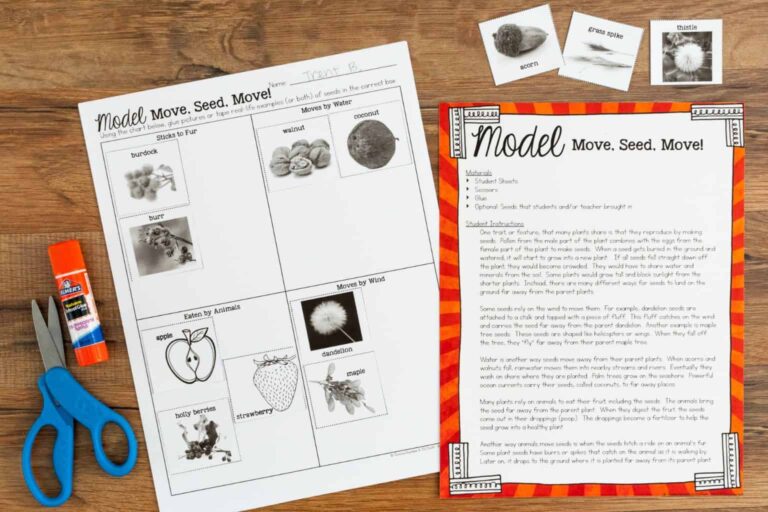 Seed Dispersal Activities, Worksheets, and Labs for Kids
