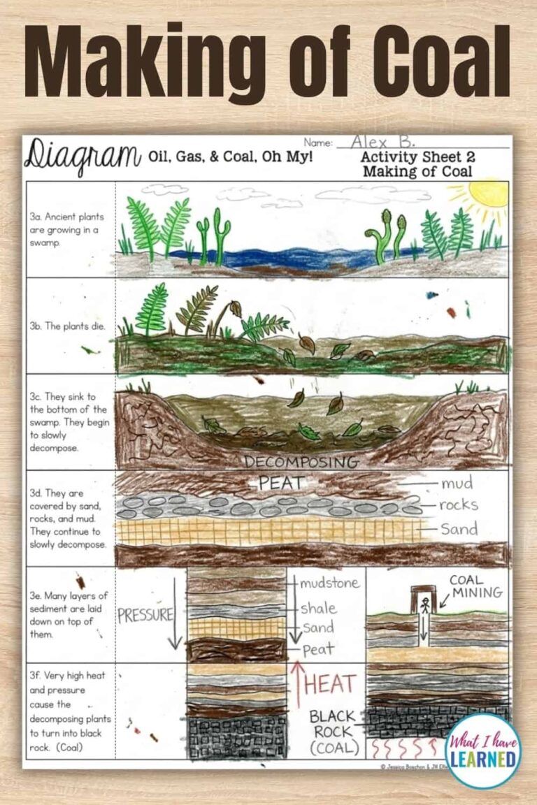 Fossil Fuels Activity 4th Grade: Oil, Gas & Coal Diagram