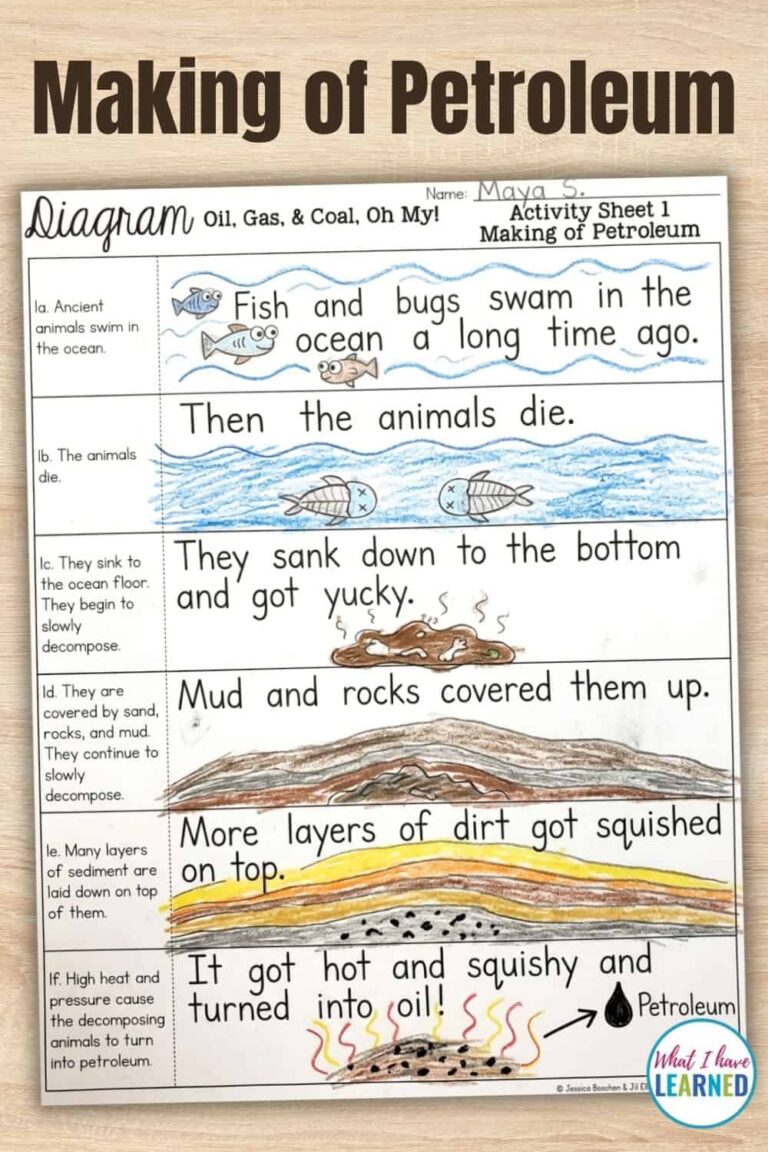 Fossil Fuels Activity 4th Grade: Oil, Gas & Coal Diagram
