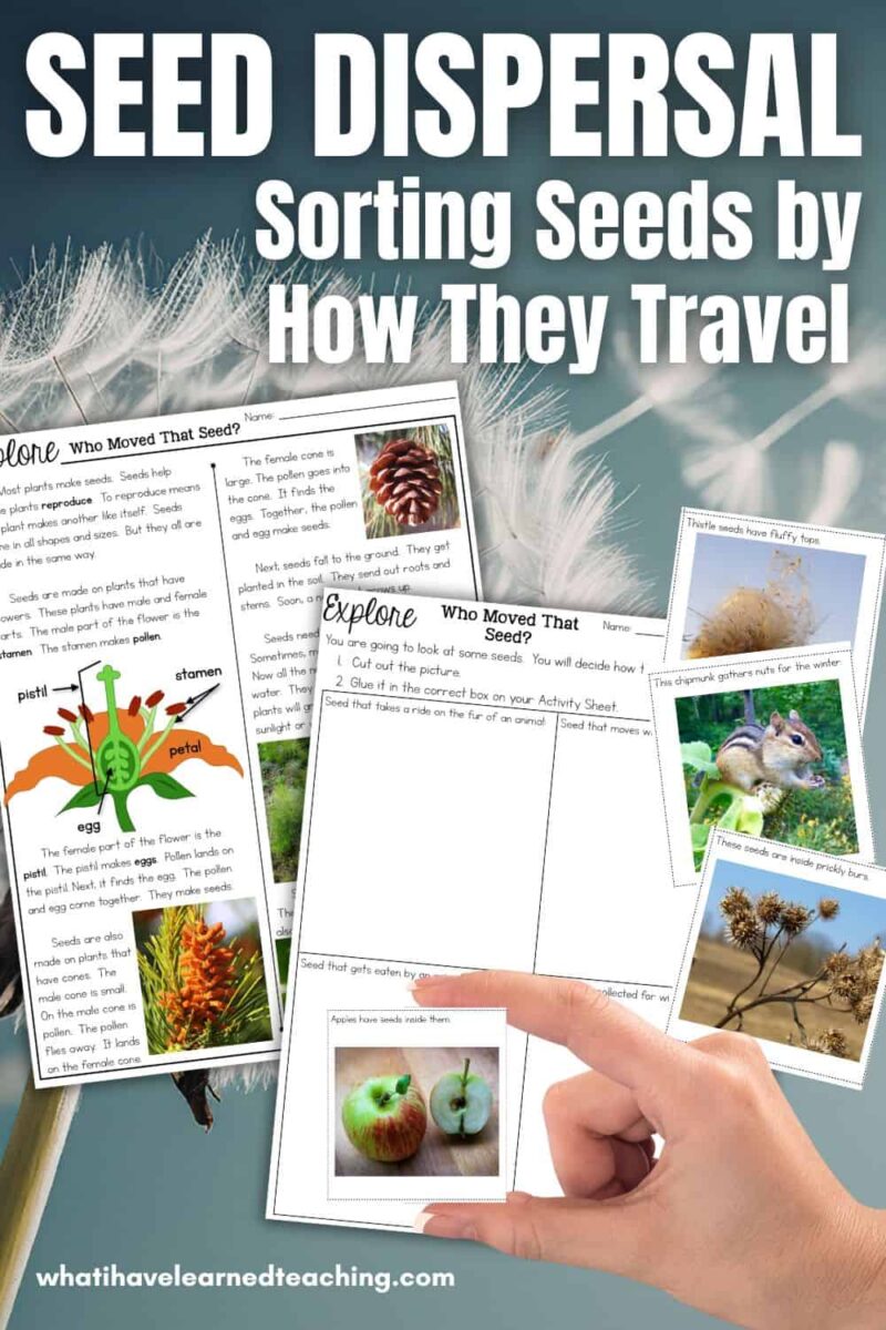 Seed Dispersal Activities, Worksheets, and Labs for Kids